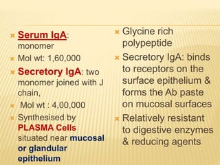 Immunoglobulins | PPT