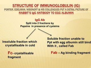 Immunoglobulins | PPTX