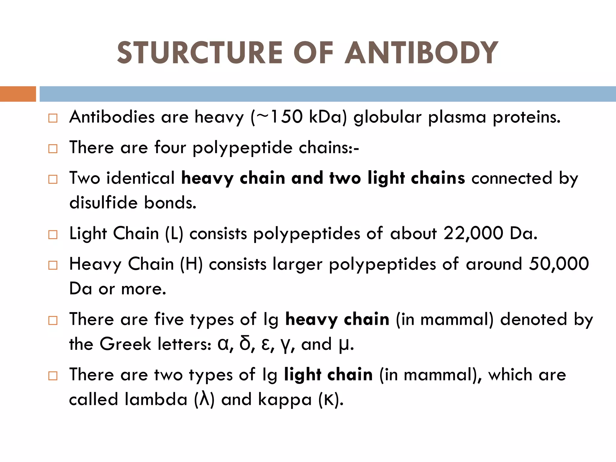 Antibody | PDF