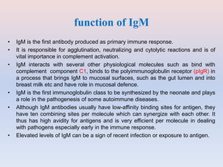 antibody-210527082537