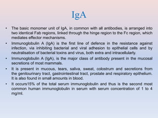 Antibody | PPTX