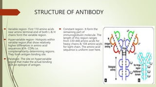 Antibody.pptx