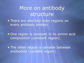 Another presentation of human antibody.ppt