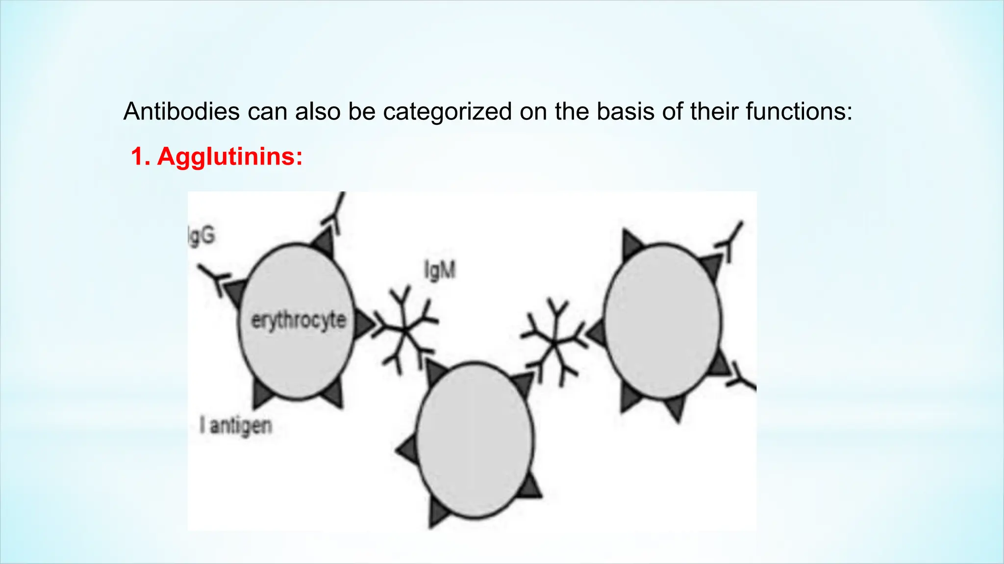 Structure, types and functions of Antibody.PPT