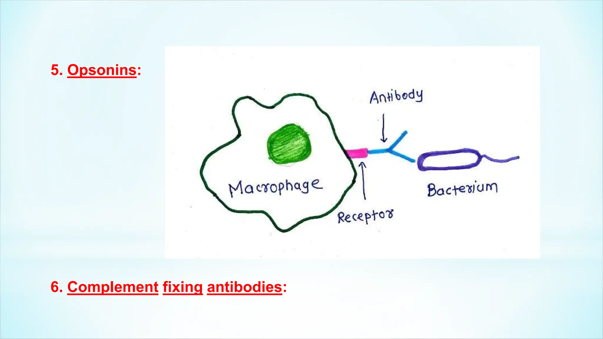 Structure, types and functions of Antibody.PPT
