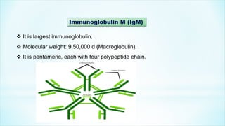 Structure, types and functions of Antibody.PPT