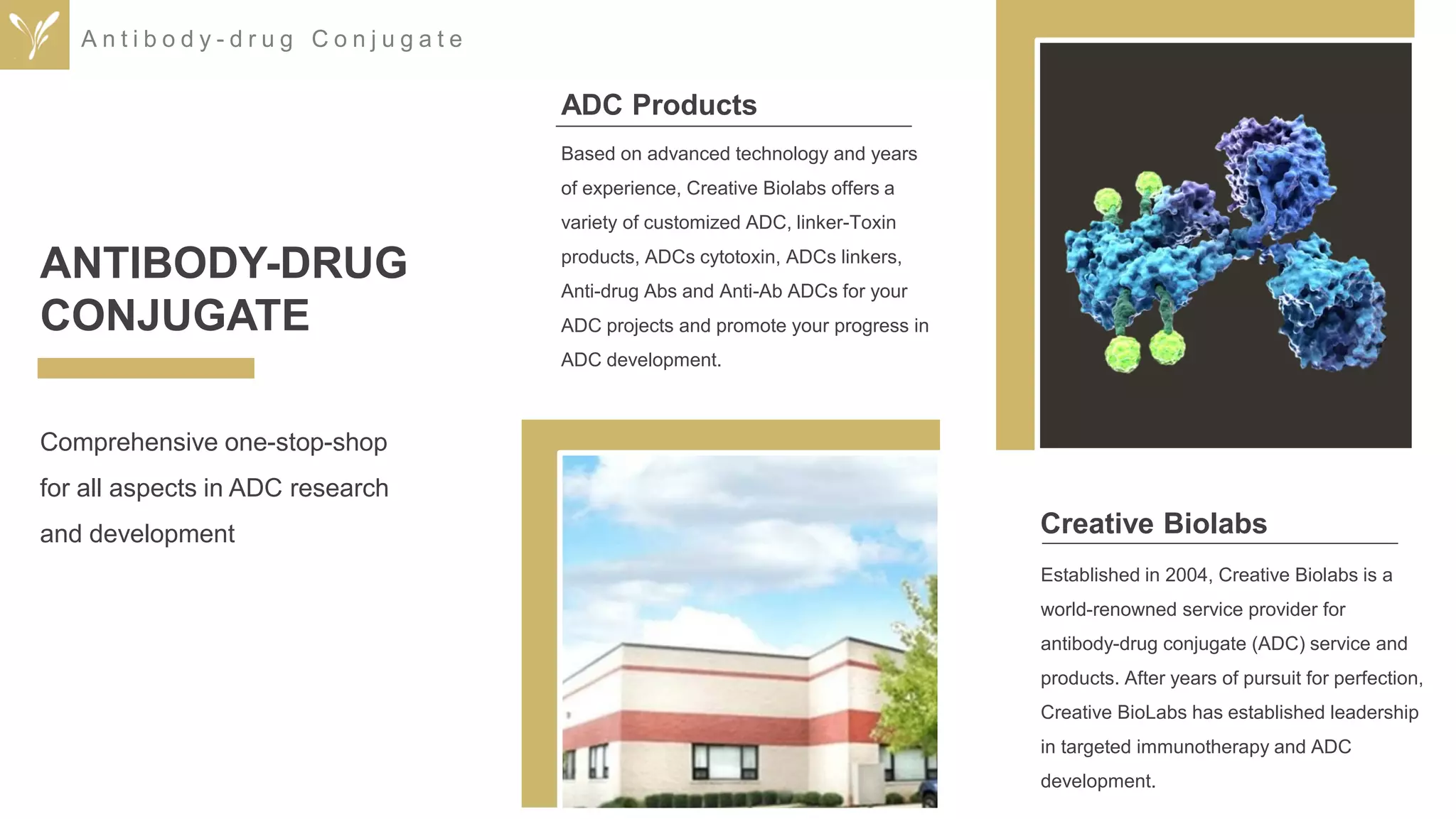Antibody Drug Conjugates Pdf