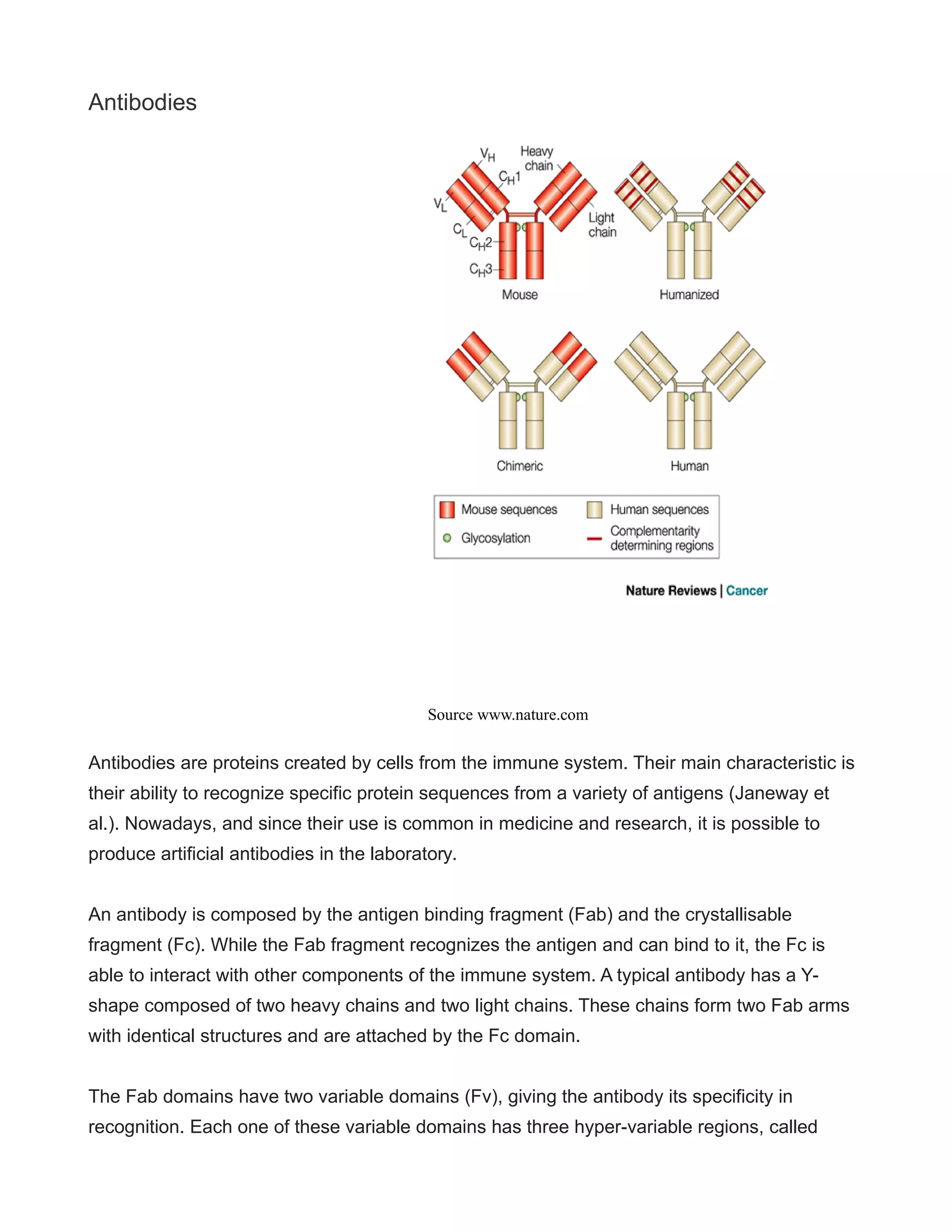 Antibody humanization techniques | PDF