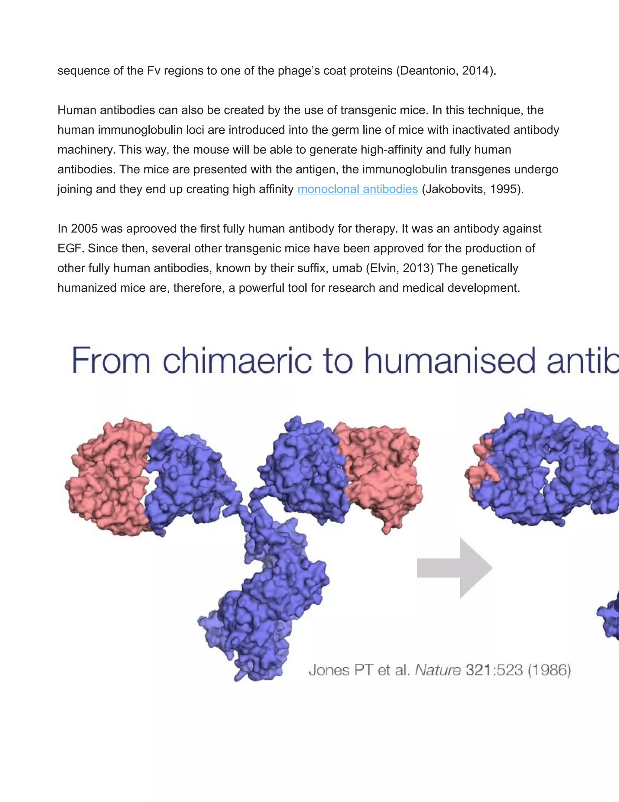 Antibody humanization techniques | PDF