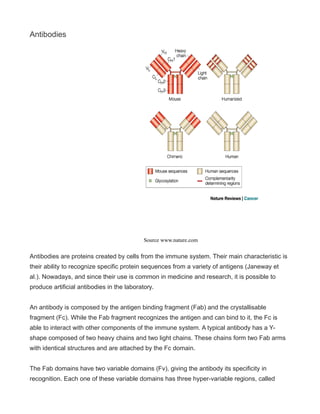 Antibody humanization techniques | PDF