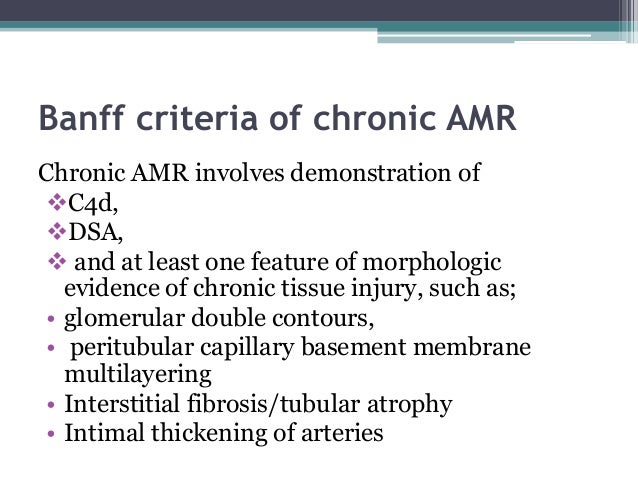Banff Criteria Kidney Rejection – XLYIJJ