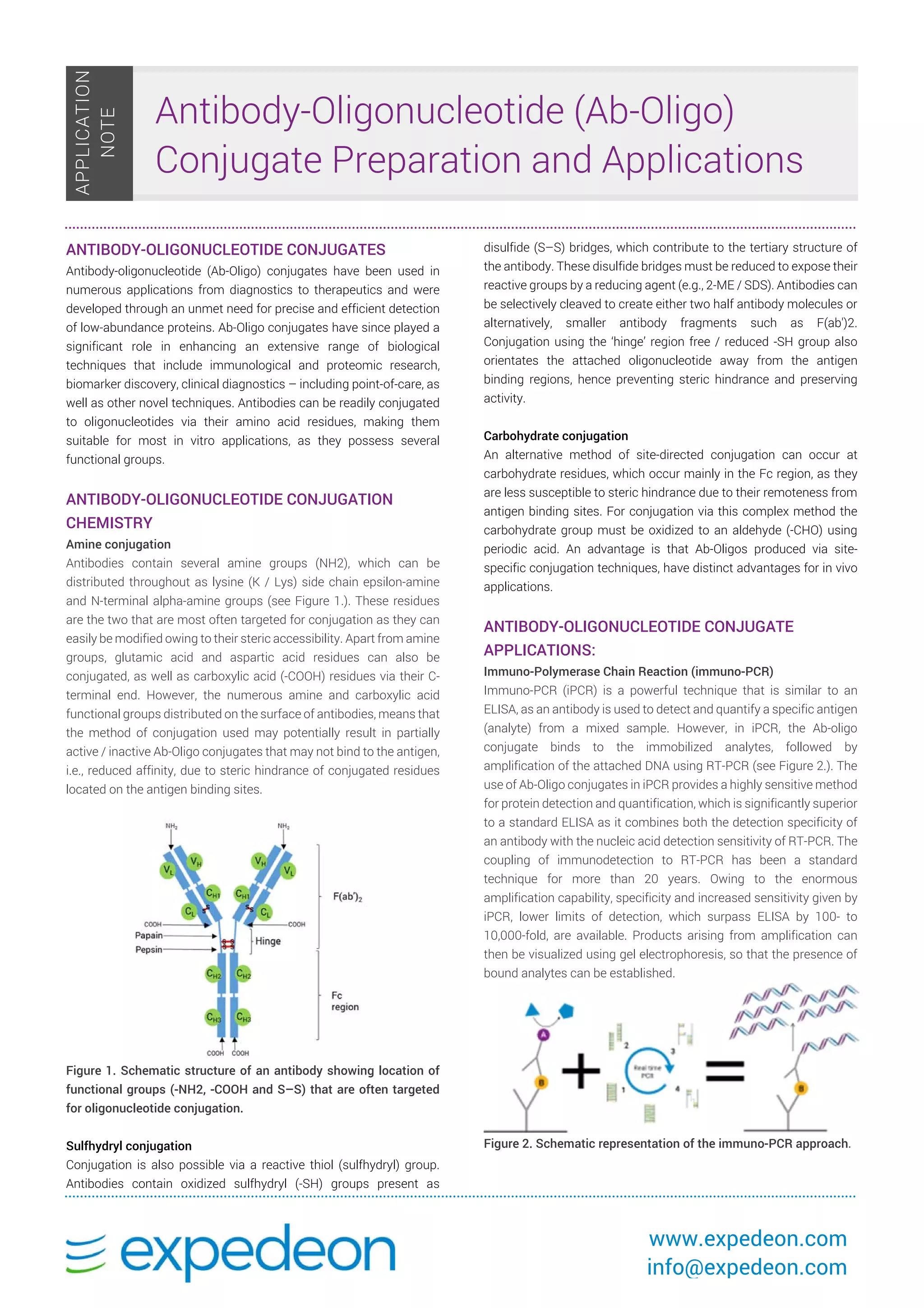 Antibody oligonucelotide conjugates application note | PDF