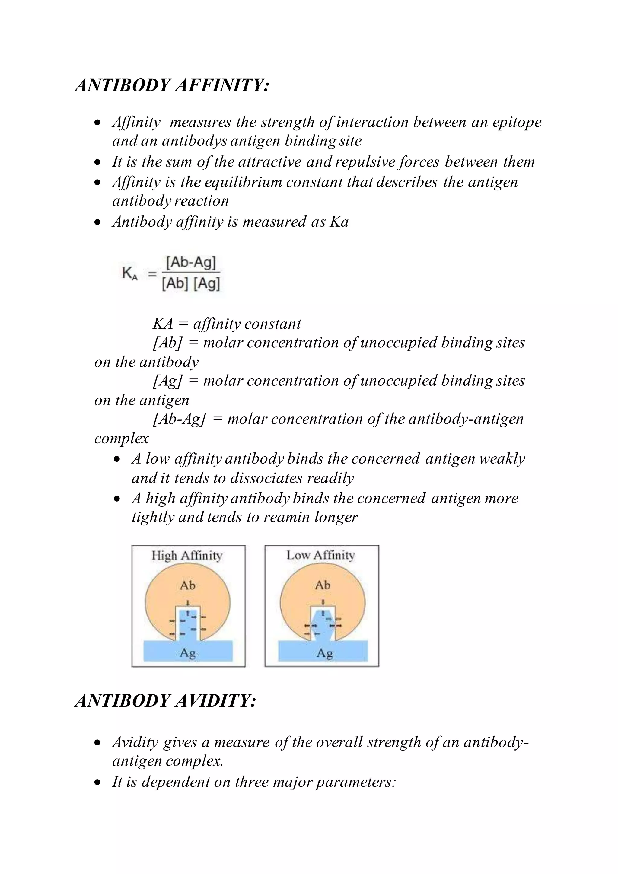 Antibody affinity and avidity | DOCX