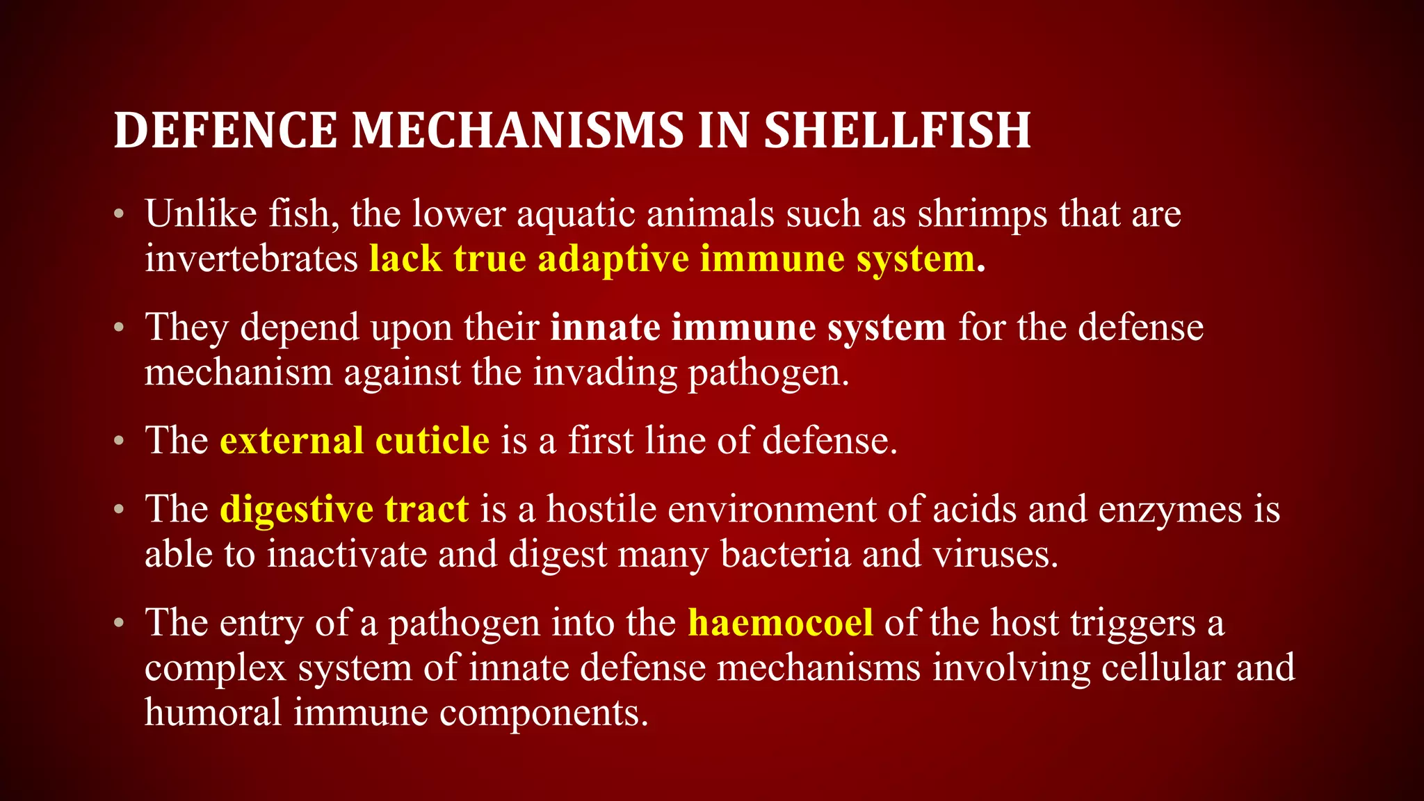 Antibody and cell mediated immunity of fish and shellfish | PPTX
