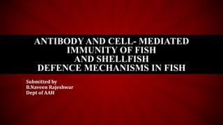 Antibody and cell mediated immunity of fish and shellfish | PPTX