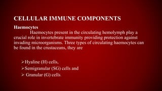 Antibody and cell mediated immunity of fish and shellfish | PPTX