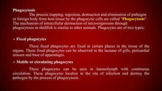 Antibody and cell mediated immunity of fish and shellfish | PPTX