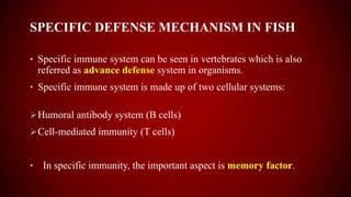 Antibody and cell mediated immunity of fish and shellfish | PPTX