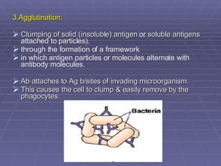 Antibody Antigen Intrction | PPT