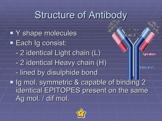 Antibody Antigen Intrction | PPT