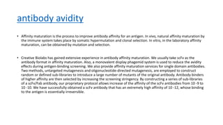 Antibody avidity | PPT