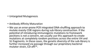 Antibody avidity | PPT