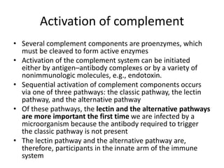 Antibody & Complements | PPT