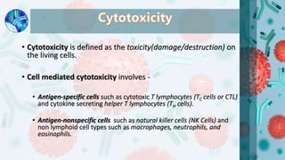 Antibody dependent cell mediated cytotoxicity (ADCC) by Prabeen | PPTX