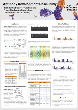 Antibody development case study | PDF
