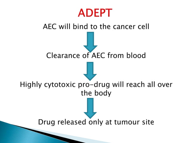 Antibody directed enzyme prodrug therapy | PPTX