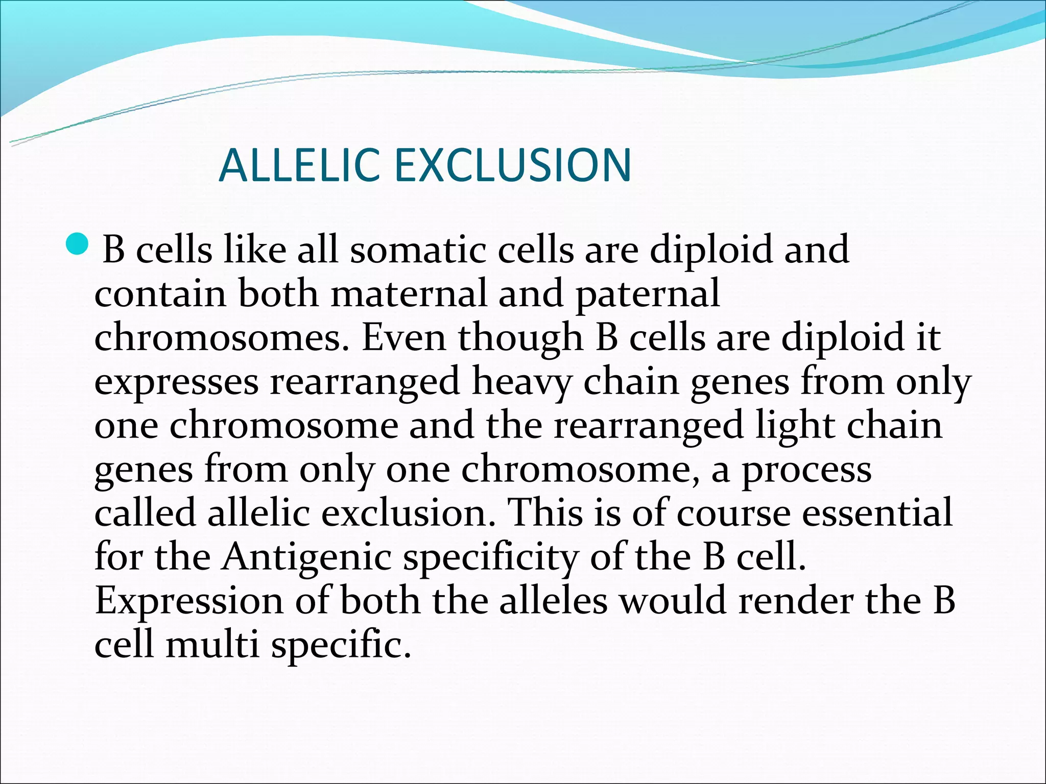 Antibody diversity | PPT