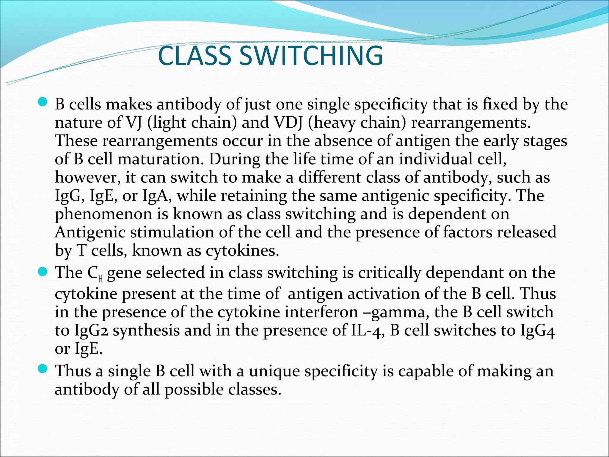 Antibody diversity | PPT
