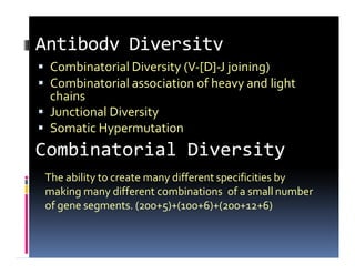 Antigen receptor Gene & Antibody diversity | PPT