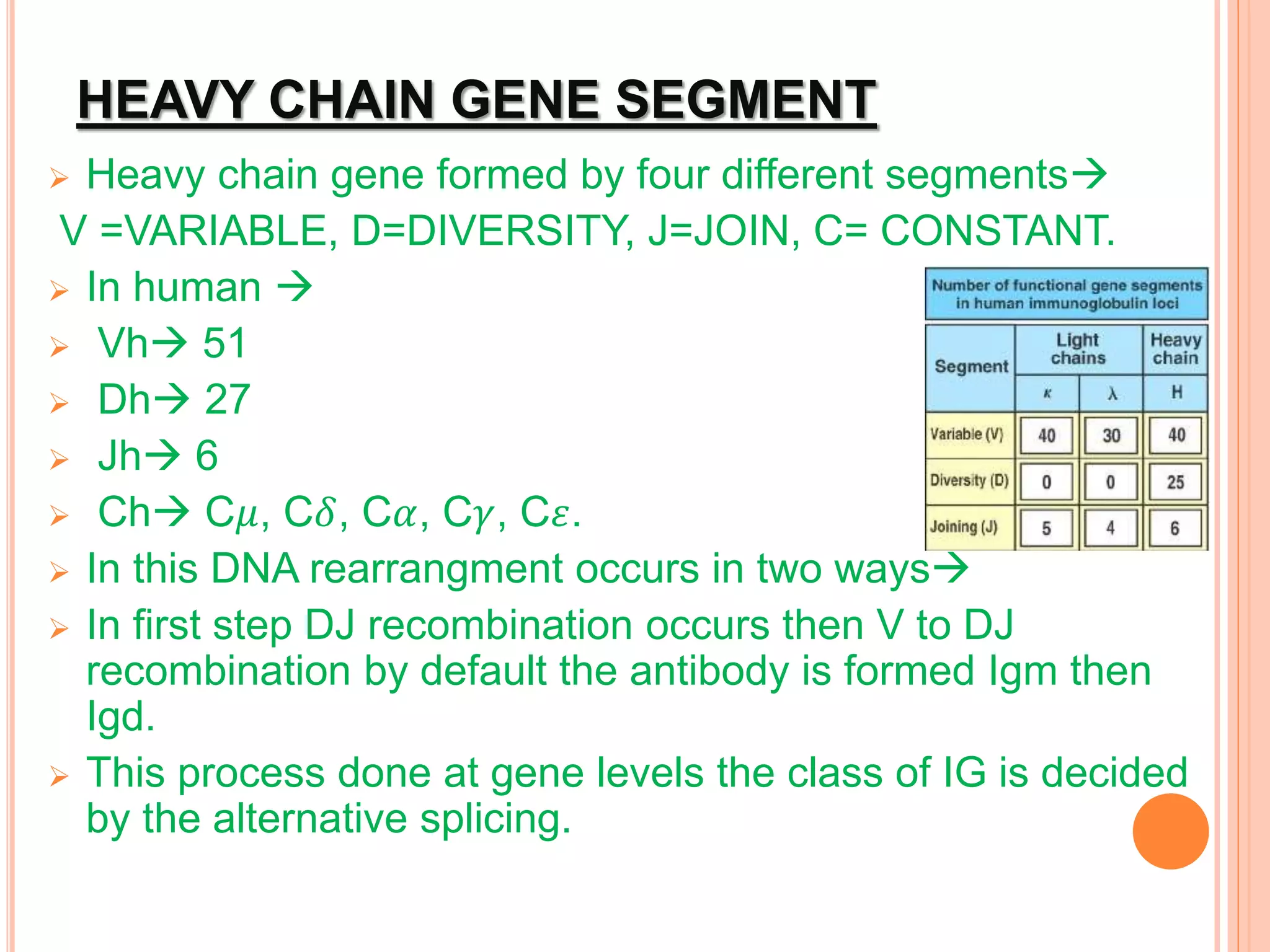 Antibody diversity | PPTX | Genetics | Science
