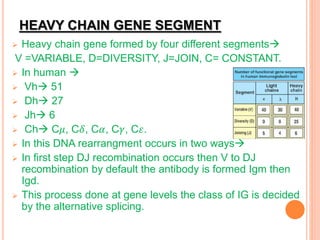 Antibody diversity | PPTX