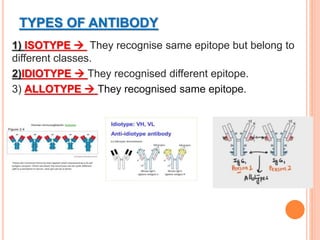 Antibody diversity | PPTX