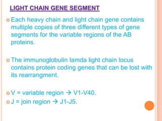 Antibody diversity | PPTX