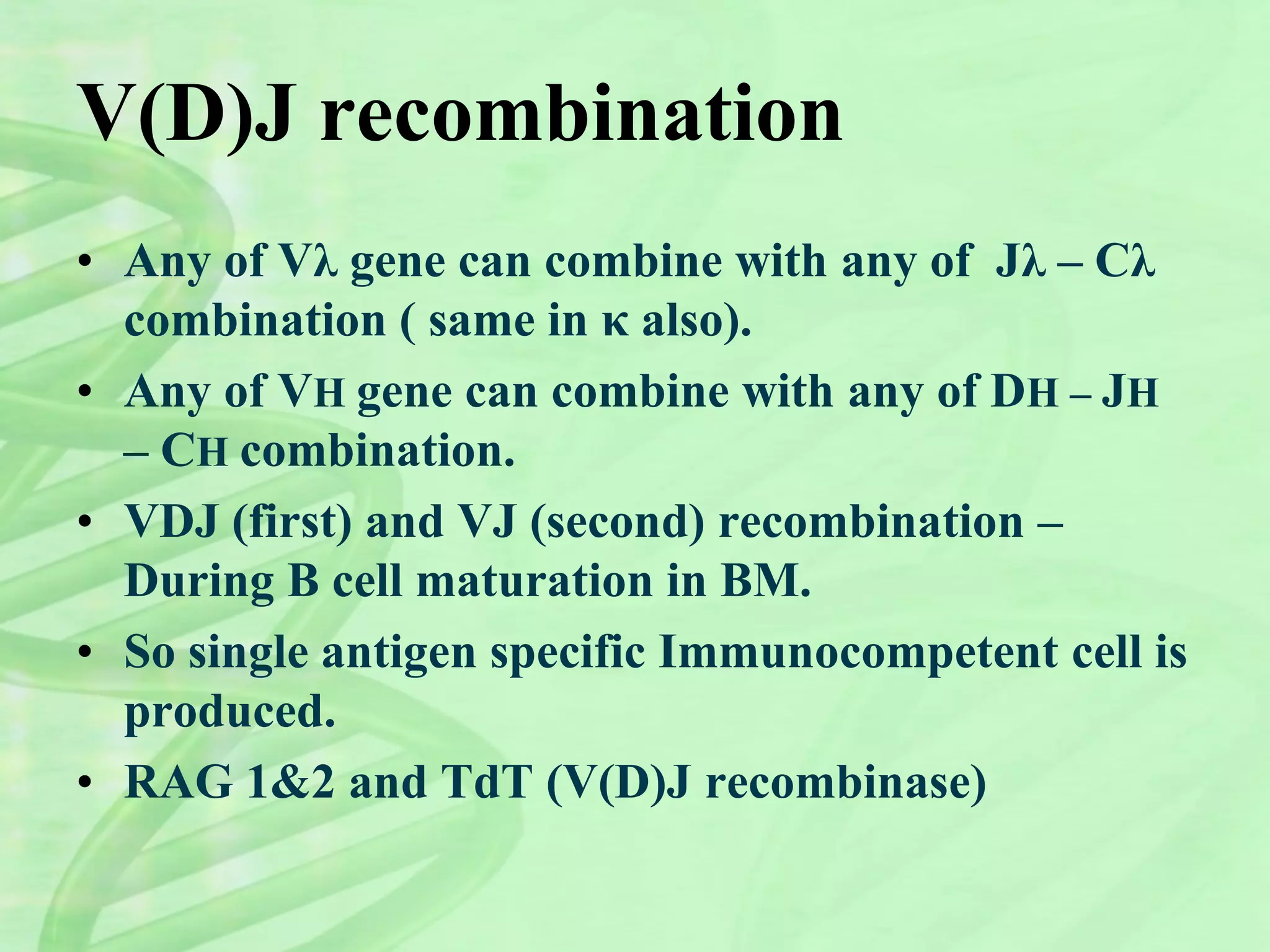 Antibody diversity presentation | PDF