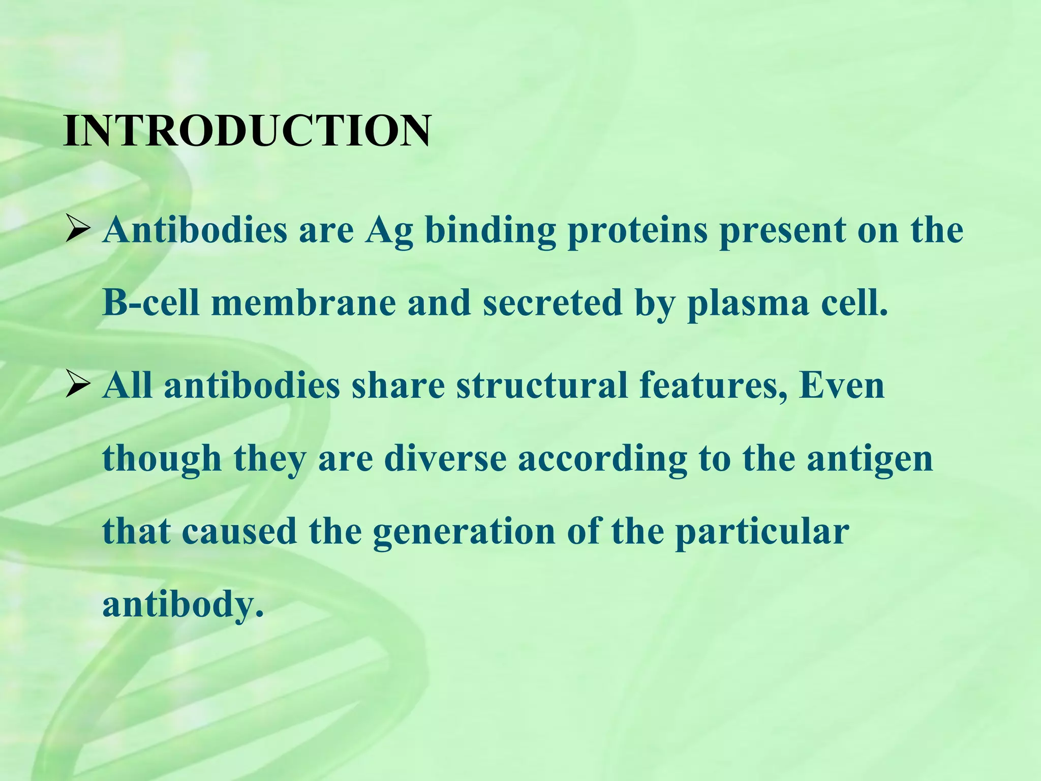 Antibody diversity presentation | PDF