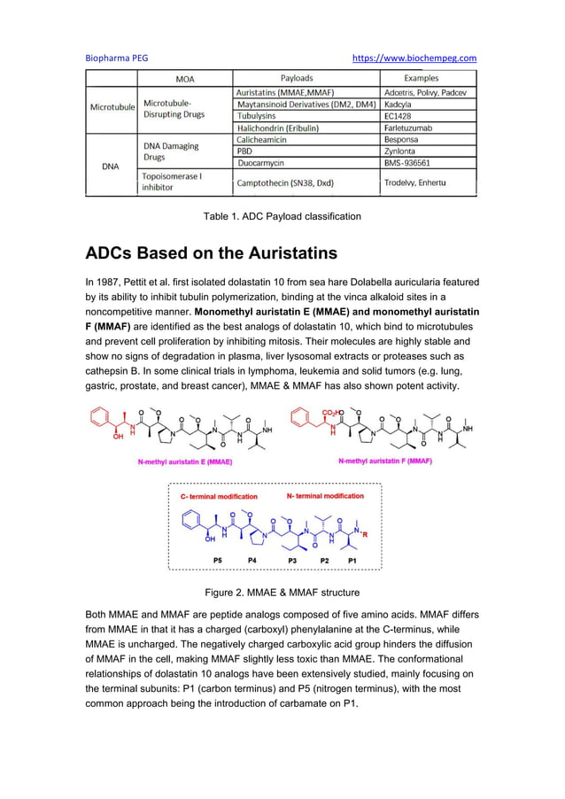 Antibody–Drug Conjugate Payloads MMAE & MMAF.pdf