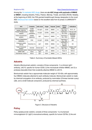 Antibody–Drug Conjugate Payloads MMAE & MMAF.pdf