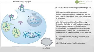 Antibody drug conjugates boc sciences | PPTX