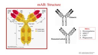 Antibody drug conjugates current status and future perspectives | PPTX ...