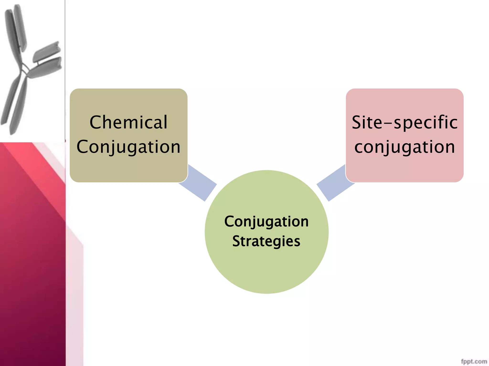 Antibody drug conjugates for cancer | PPTX