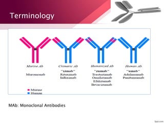 Antibody drug conjugates for cancer | PPTX