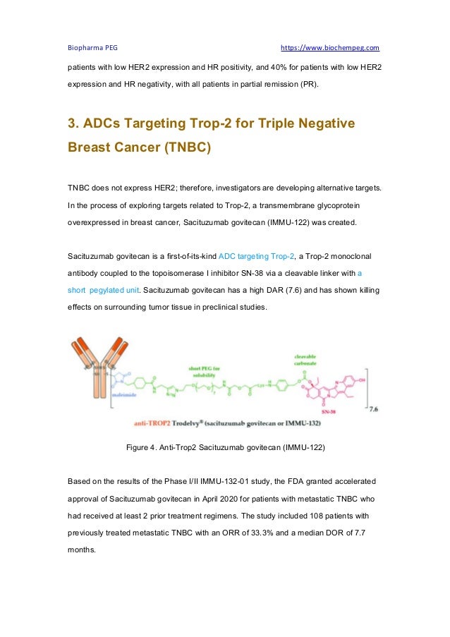 Antibody–Drug Conjugates for the Treatment of Breast Cancer.pdf
