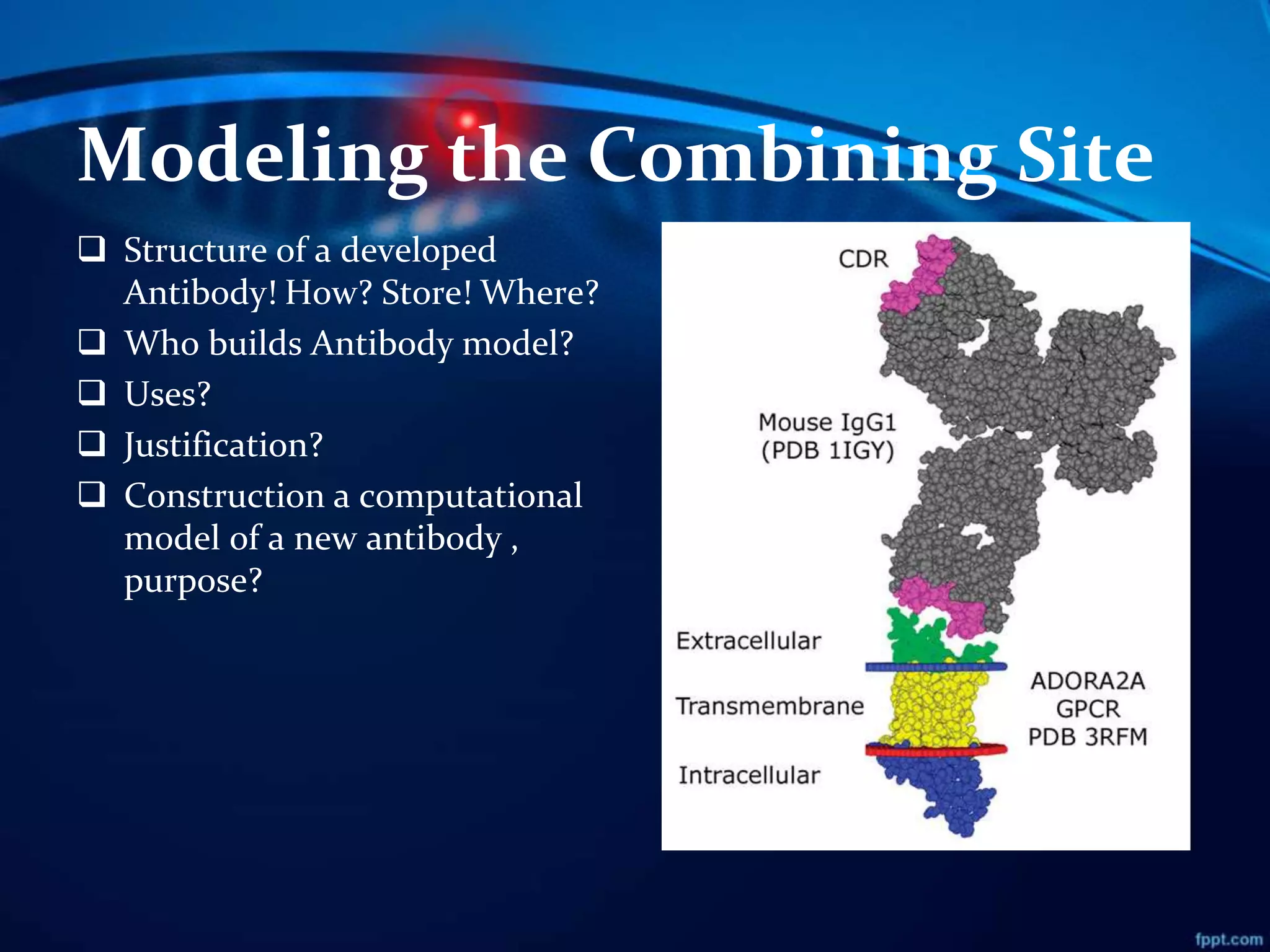 Antibody engineering | PPTX