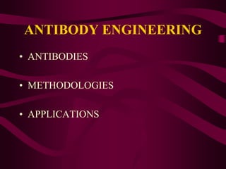 antibody engineering.ppt