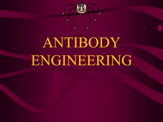 antibody engineering.ppt