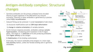 Antibody-antigen interaction and antibodyEngineering | PPTX